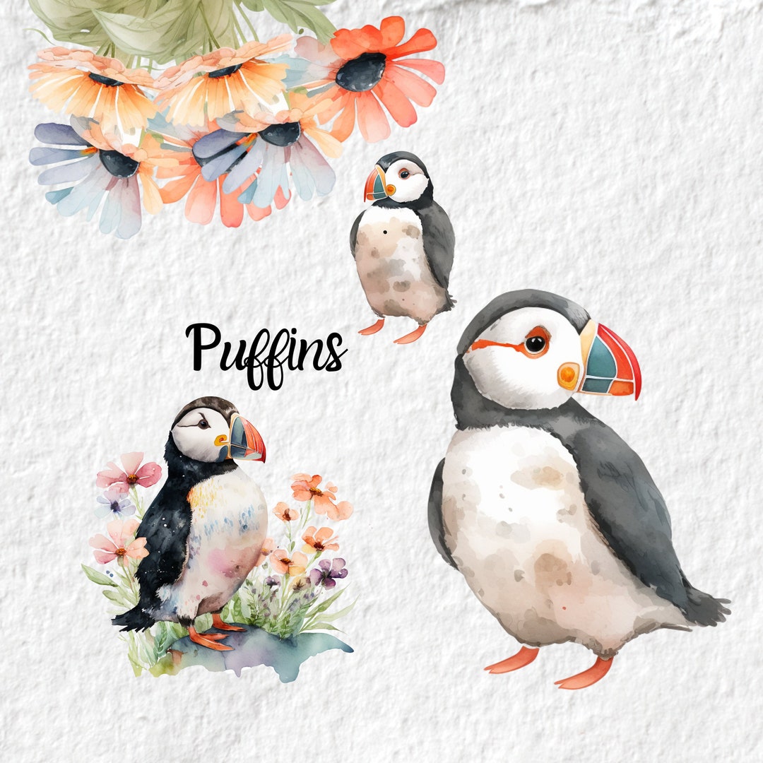 Puffin Watercolor Clipart, Irish Sea Parrot Puffin Bird Clipart, Baby ...