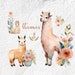 Llama Watercolor Clipart, Cute Alpaca Baby Shower Graphics, Alpaca Farm ...