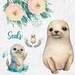 Seal Watercolor Clipart, Cute Sea Life Baby Shower Graphics, Sea Life ...