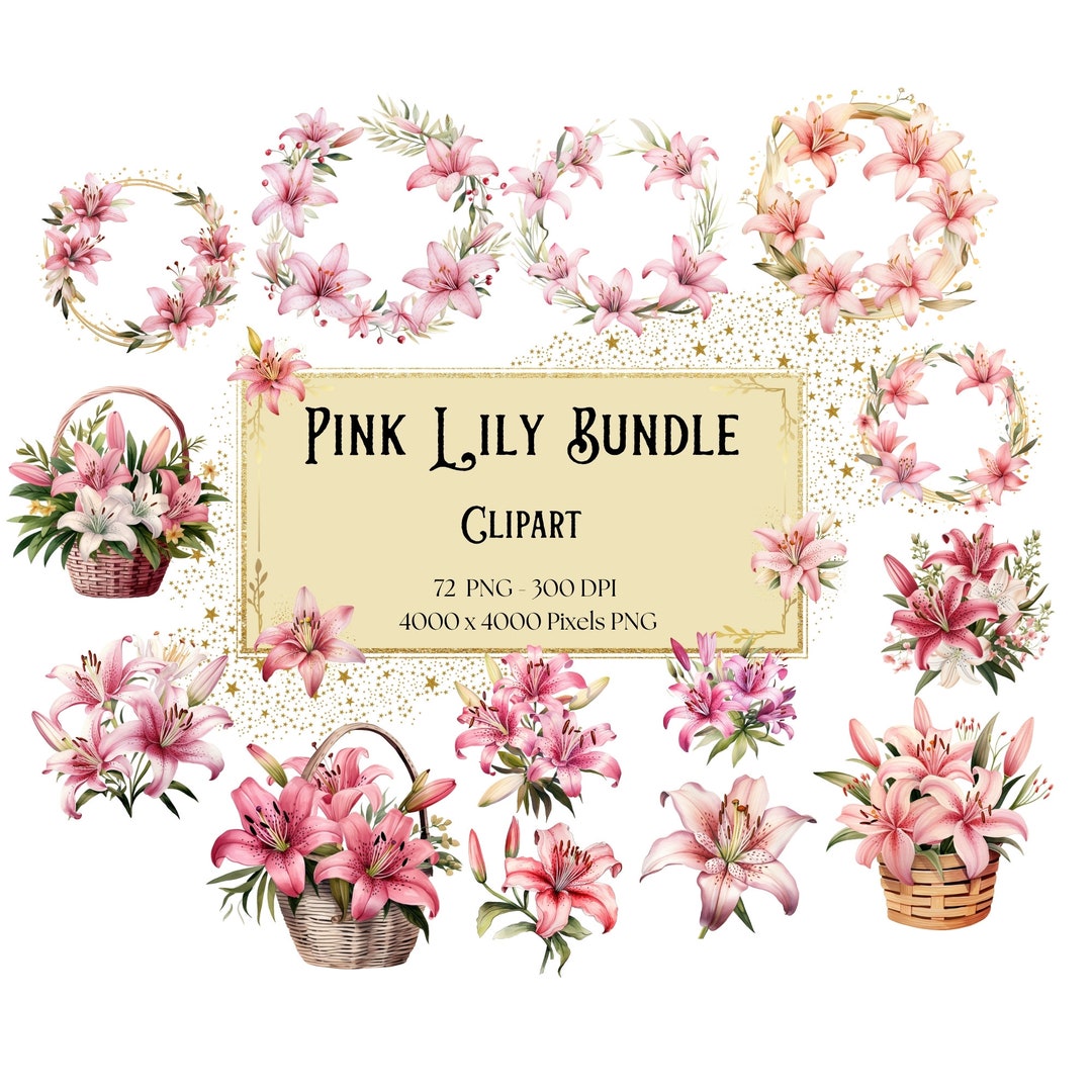 Pink Lily Watercolor Clipart Bundle, Floral Wreath Bouquet (PNG) - Etsy