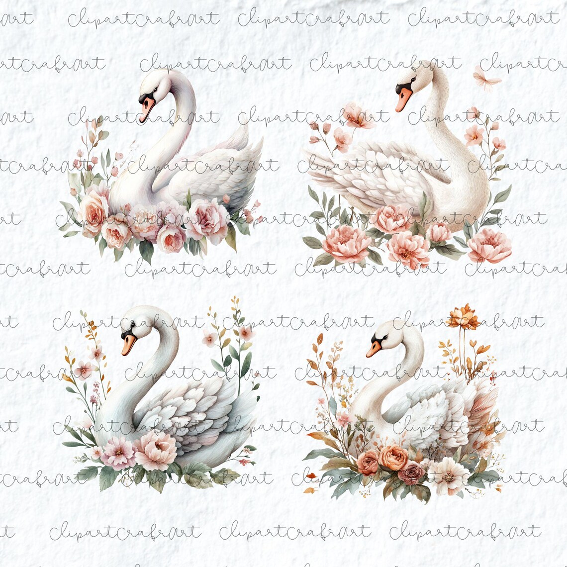 Swan Clipart, Baby Swan Clipart, Floral Swan Clipart, Birthday Baby ...