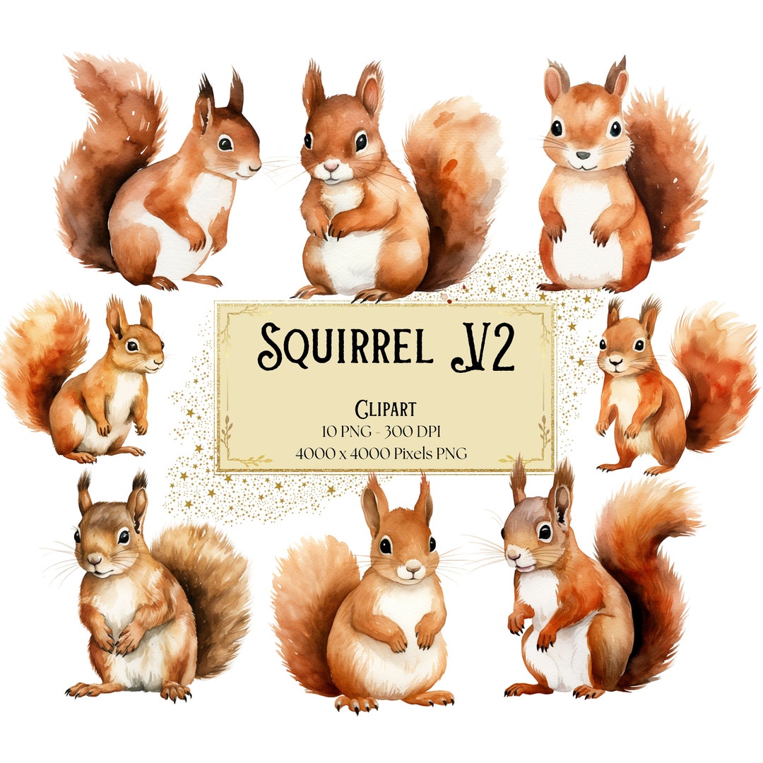 Squirrel Clipart, Squirrel Watercolor Clipart, Woodland Animals Clipart ...
