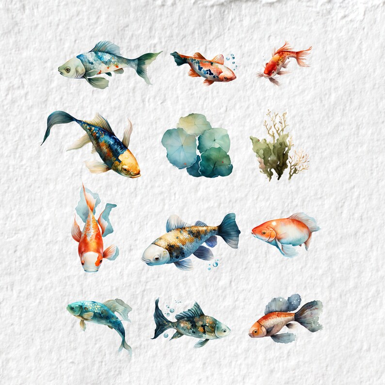 Japanese Koi Fish Watercolor Clipart Cute Koi Baby Shower - Etsy