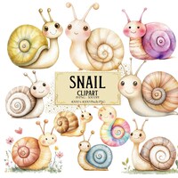 20 Cute Garden Snail Clipart, Watercolor Baby Snail Clipart, Little ...