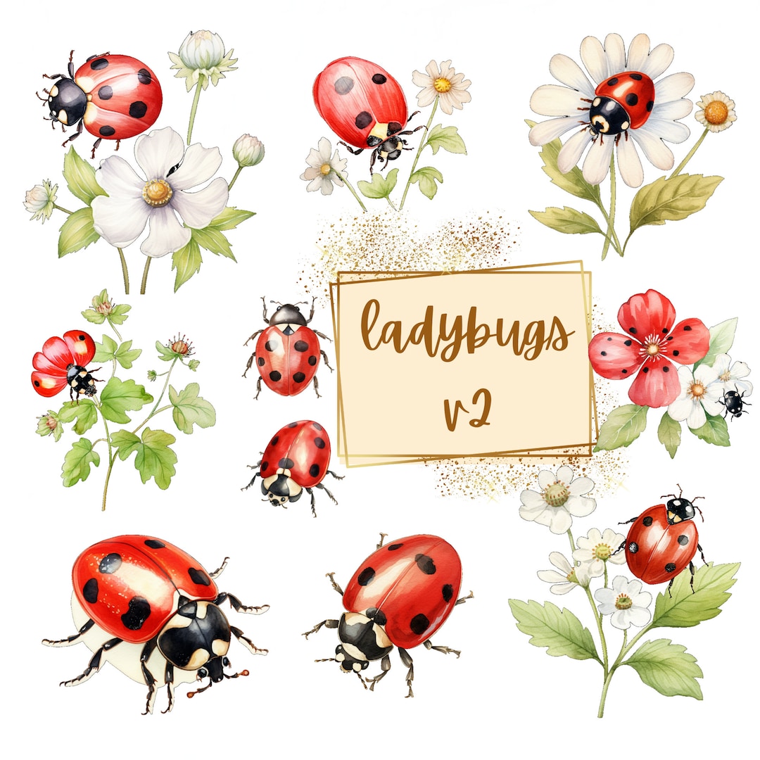 Ladybug Clipart, Cute Floral Ladybug Insect Clipart, Baby Shower ...