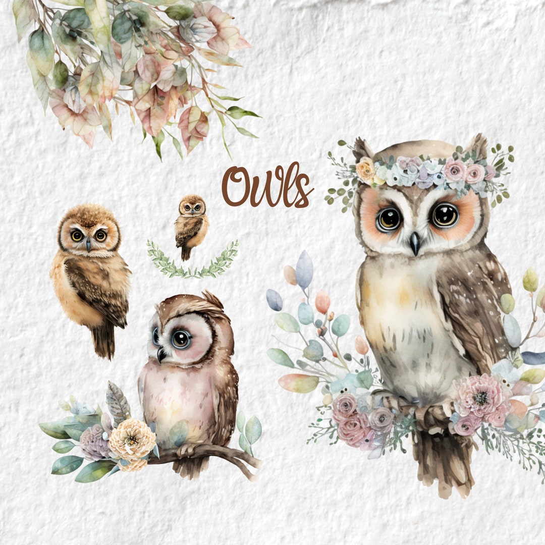Owl Clipart, Owl Watercolor Clipart, Cute Birthday Baby Shower Nursery ...