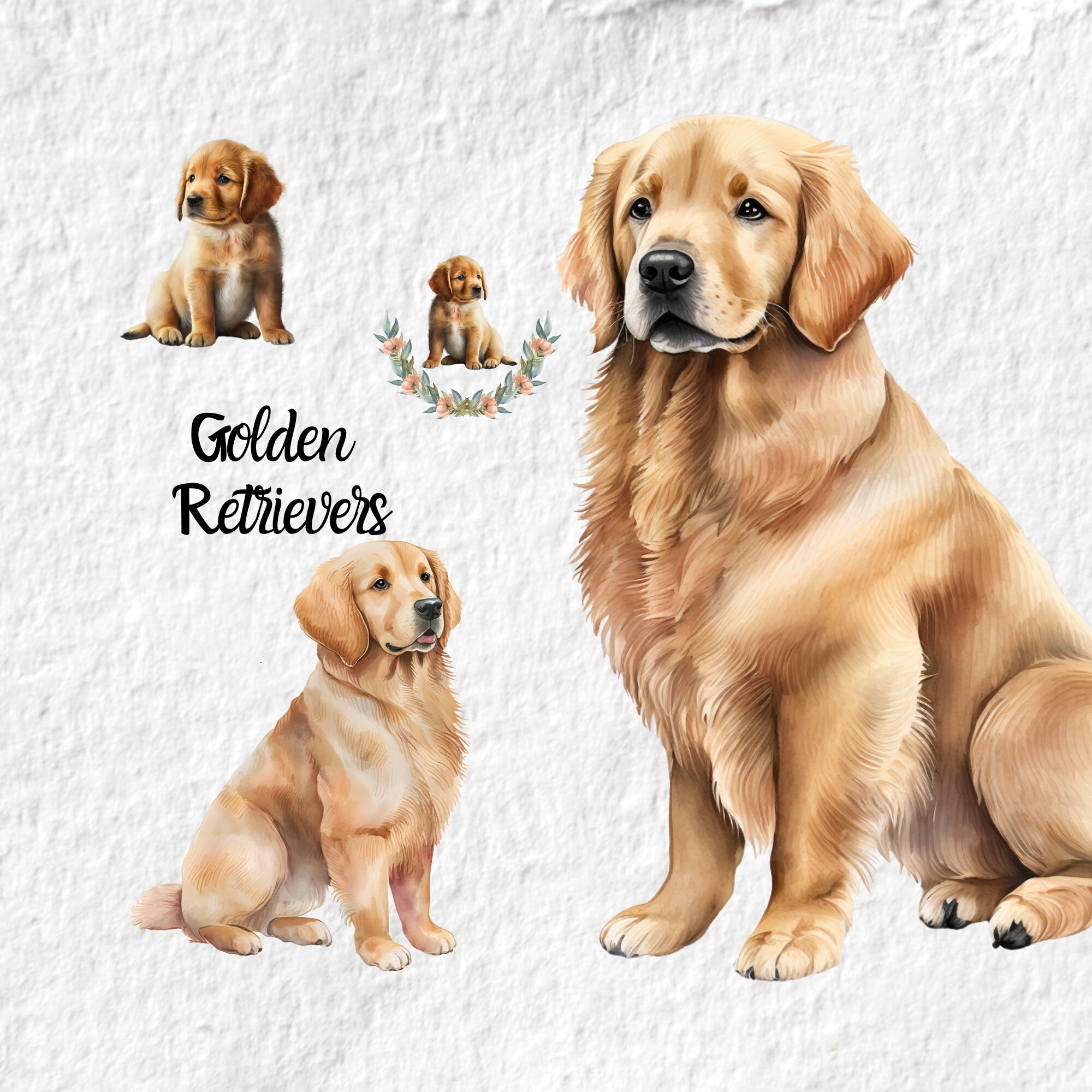Cute Baby Golden Retrievers