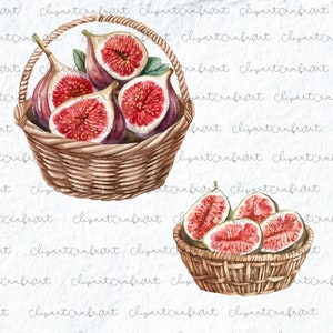 Fig Fruit Basket Clipart, Black Fig Fruit Clipart, Summer Fig Fruit ...