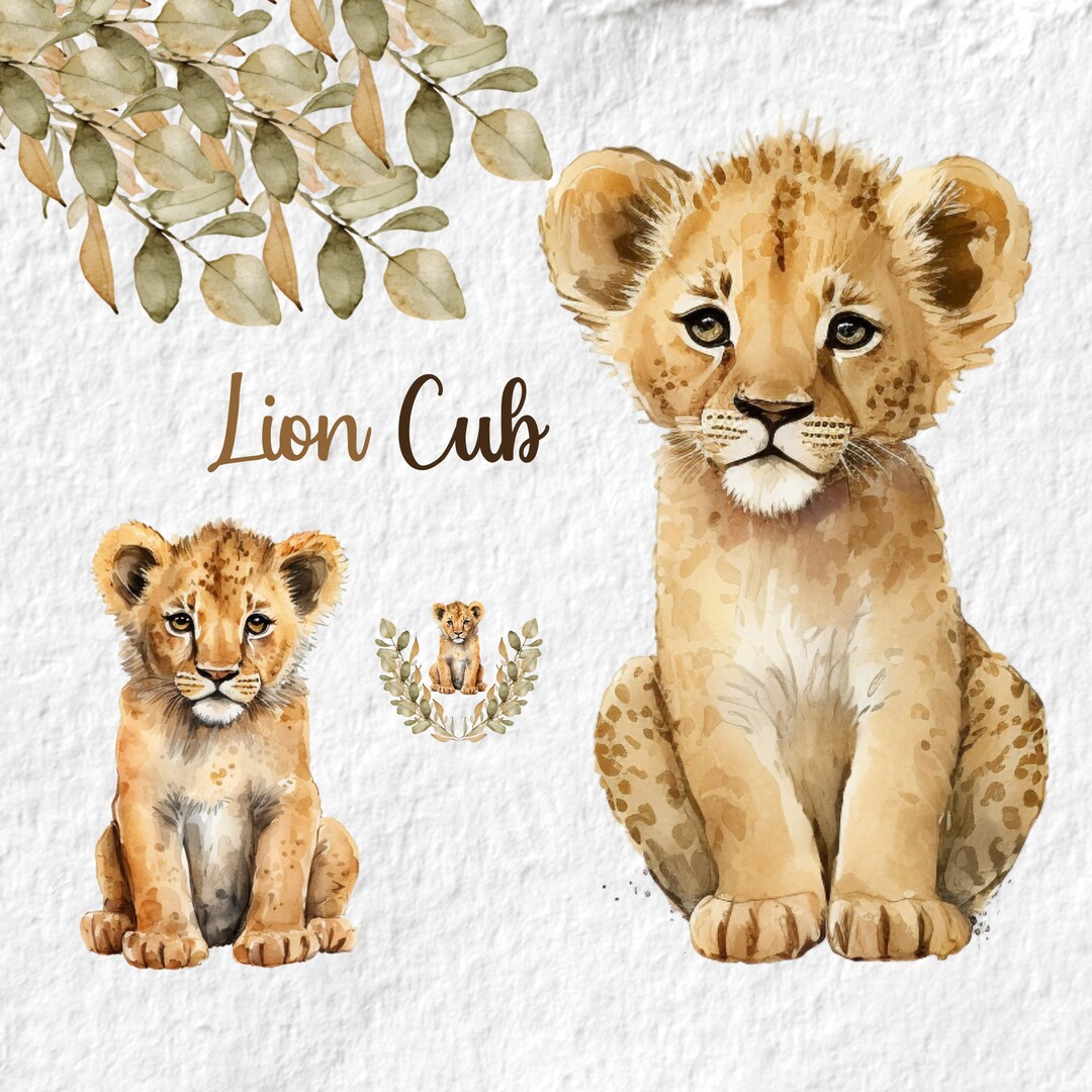 Lion Cub Watercolor Clipart, Cute Baby Shower Graphics, Birthday Party ...