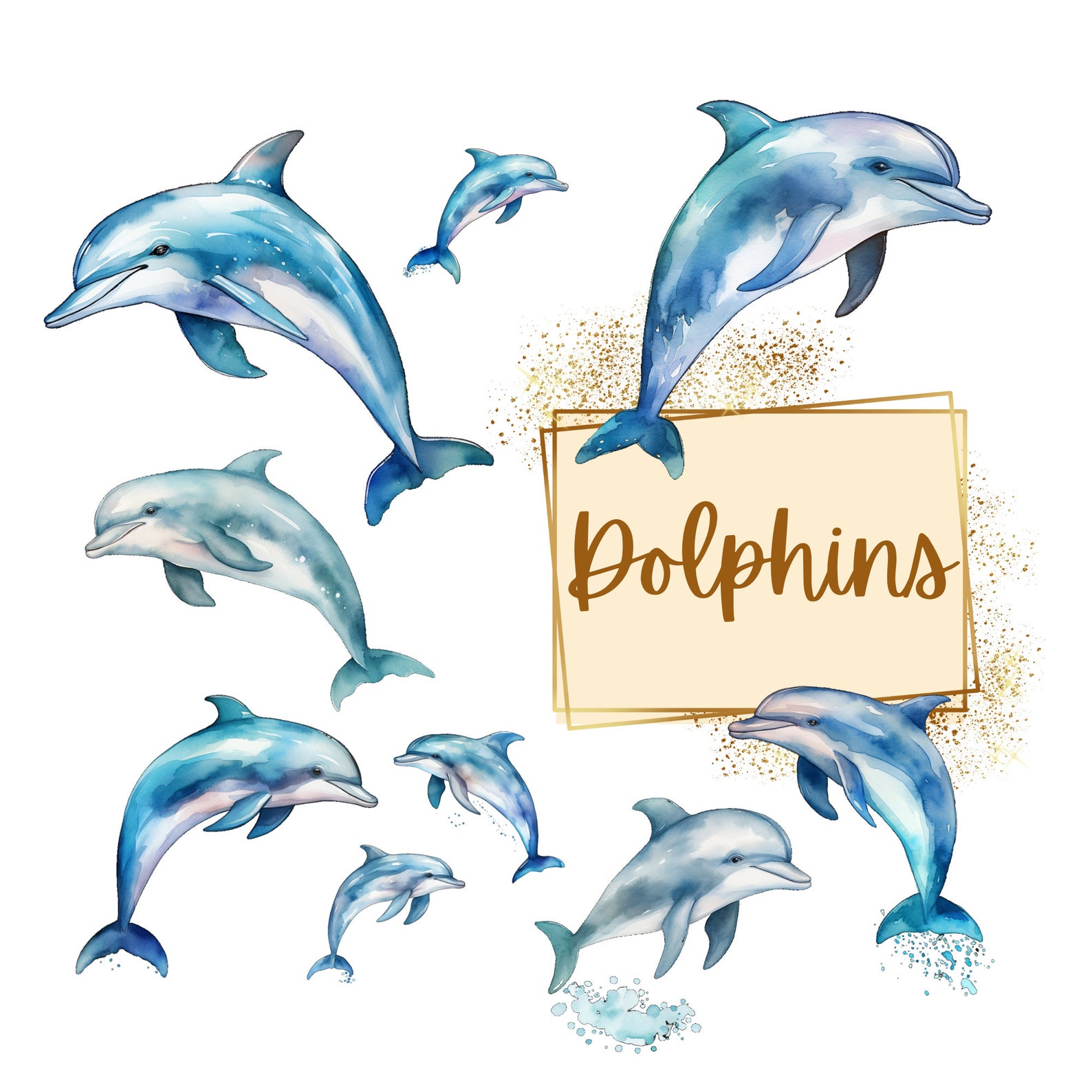 Dolphin Clipart, Dolphin Graphics Sea Life PNG, Underwater Ocean Life ...