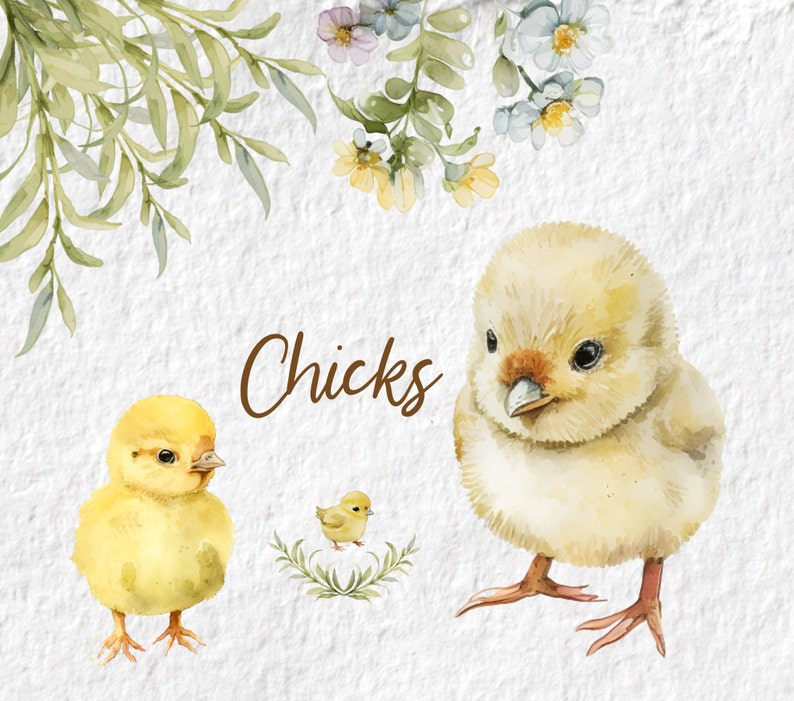 Chick Watercolor Clipart Cute Chicken Baby Shower Graphics - Etsy