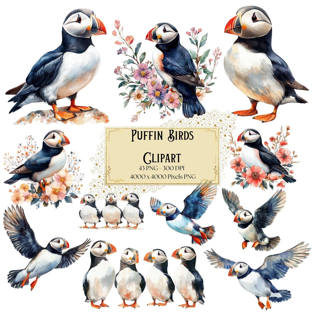 Puffin Parrot Birds Clipart, Floral Puffin Bird Clipart, Irish Sea ...