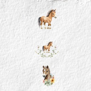 Horse Watercolor Clipart, Cute Baby Shower Graphics, Horse Birthday ...