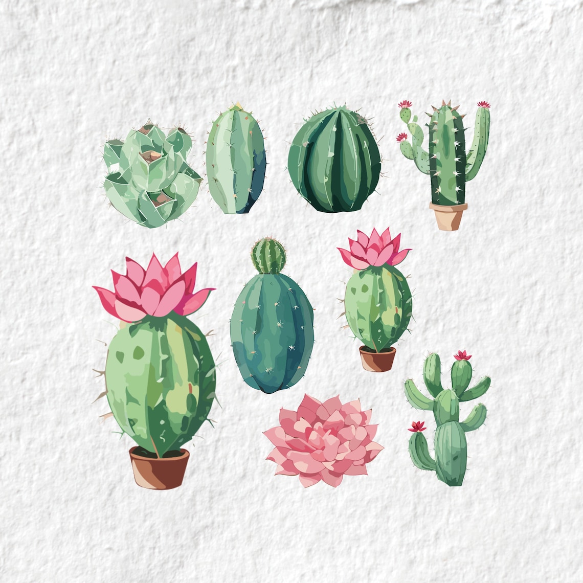 Cactus Clipart Cute Cactus Succulent Watercolor Clipart - Etsy