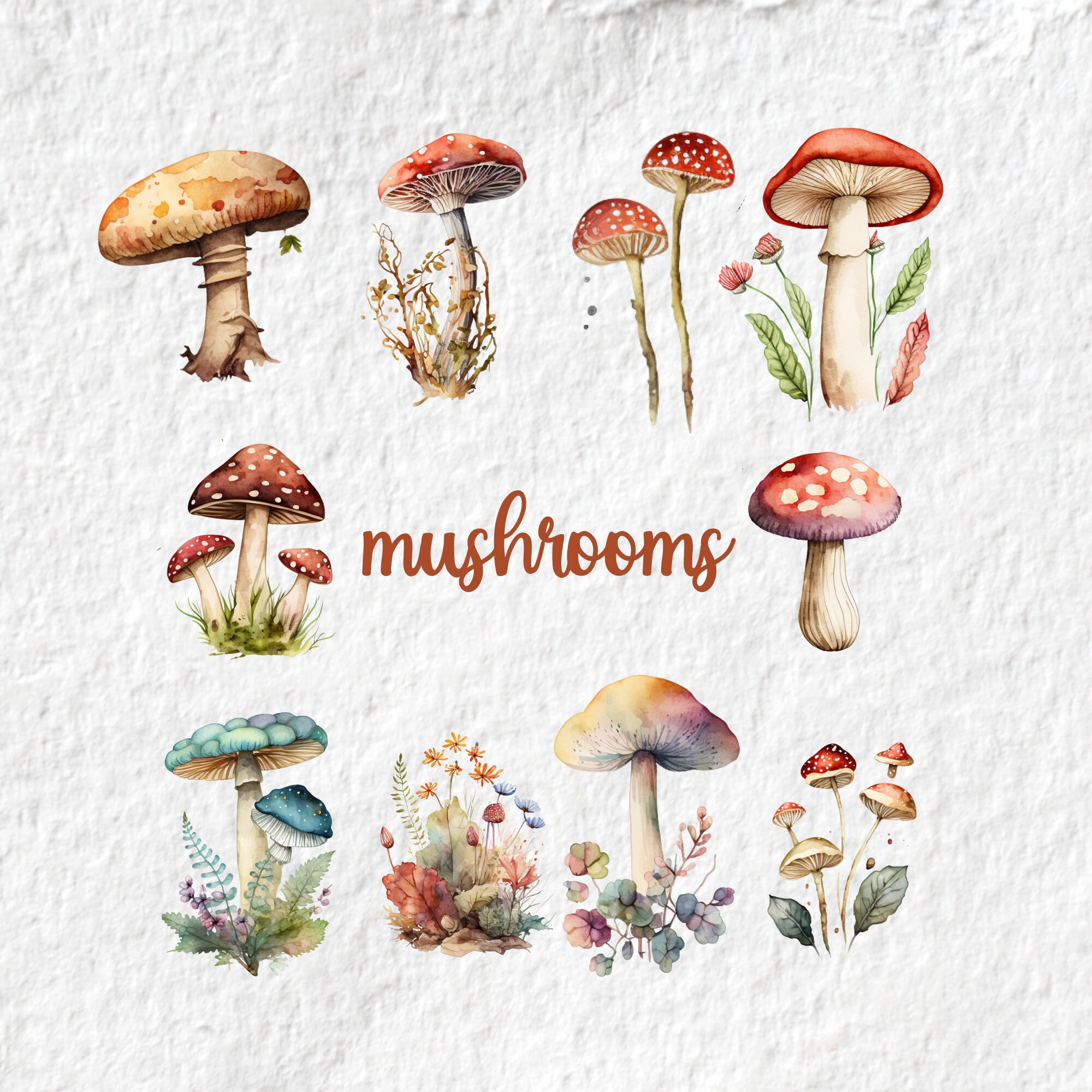 Mushroom Watercolor Clipart Cute Fungi Baby Shower Graphics - Etsy Canada