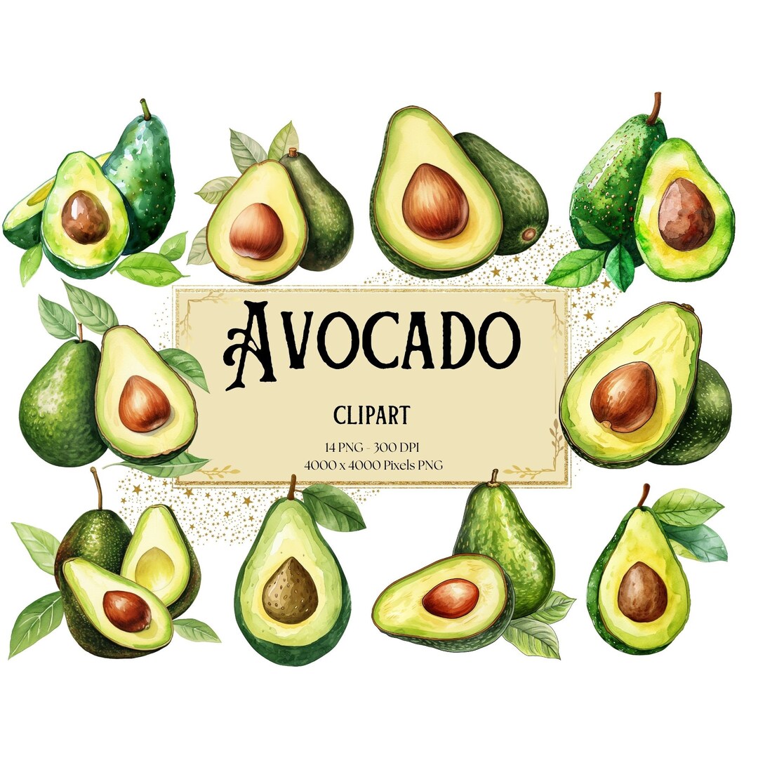 Avocado Png Clipart, Avocados Watercolor Clipart, Avocado Fruit ...