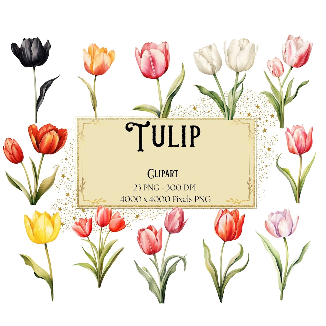 Tulip Flower Clipart, Spring Tulip Floral Clipart, Tulip Flowers ...