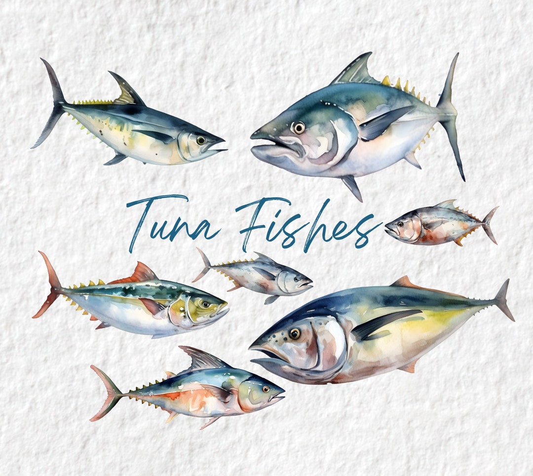 Tuna Fish Clipart, Cute Tuna Fish Watercolor Clipart, Birthday Baby ...