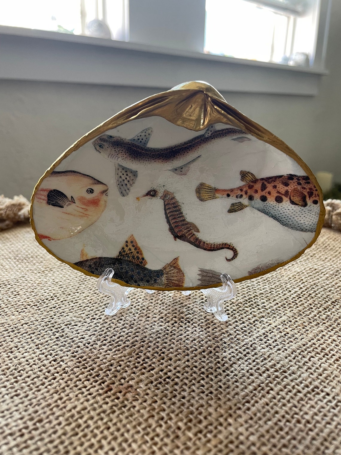 Clam Shell Decor - Etsy