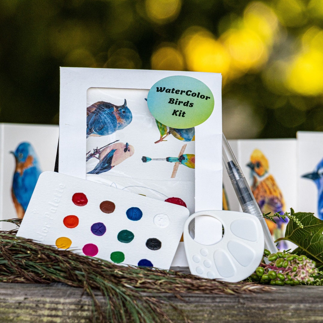 Birds Watercolor Kit | Watercolor Kit, DIY Coloring Kit, Arts & Crafts ...