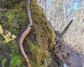Hand Carved Wooden Staff - Etsy