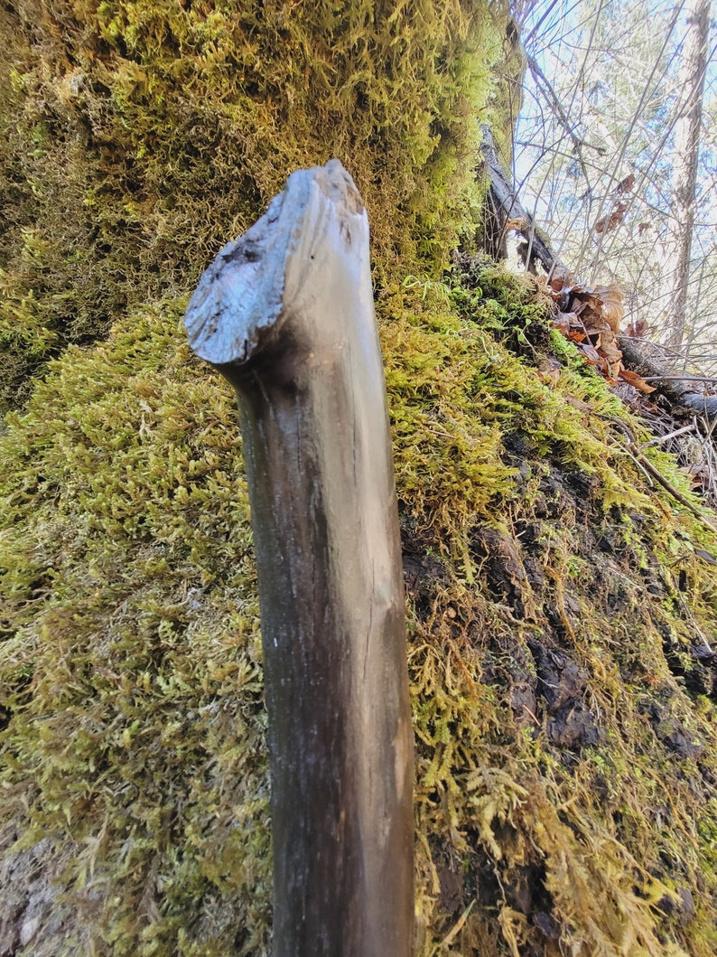 Hand Carved Wooden Staff - Etsy