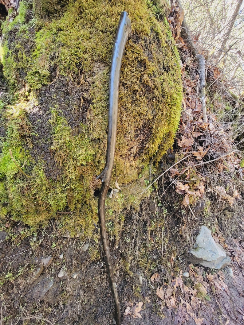 Hand Carved Wooden Staff - Etsy