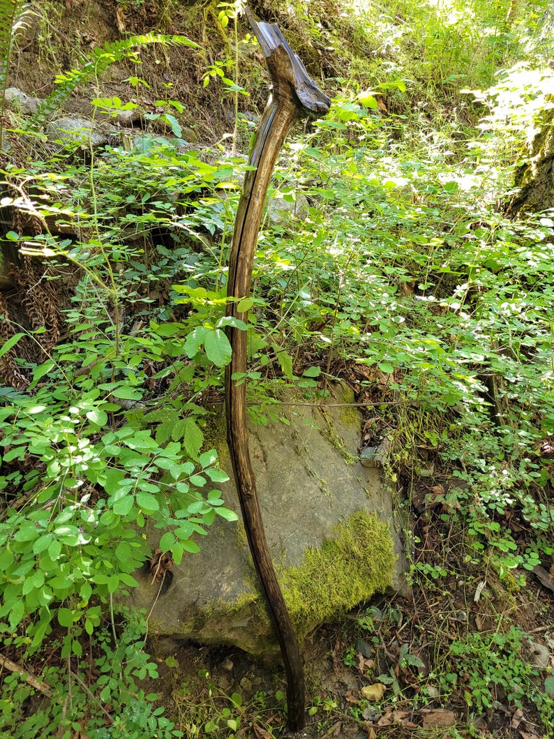 Hand Carved Wooden Staff - Etsy