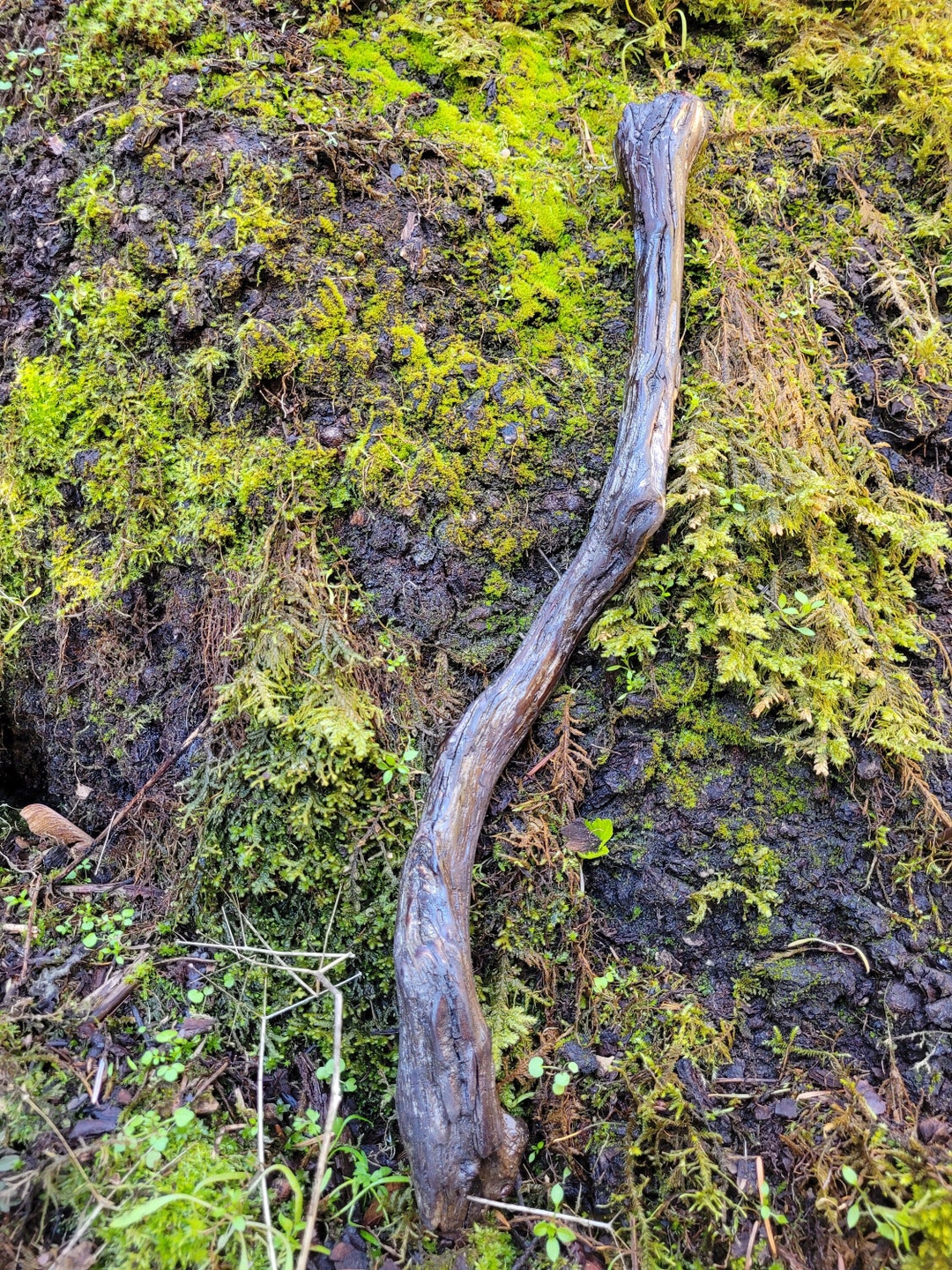 Hand Carved Wooden Wand - Etsy