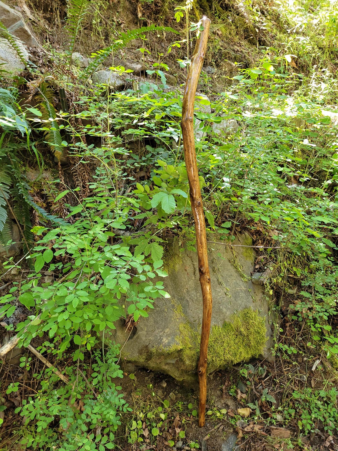 Hand Carved Wooden Staff - Etsy