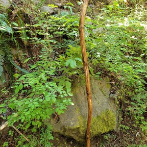 Hand Carved Wooden Staff - Etsy