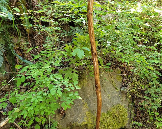 Hand Carved Wooden Staff - Etsy