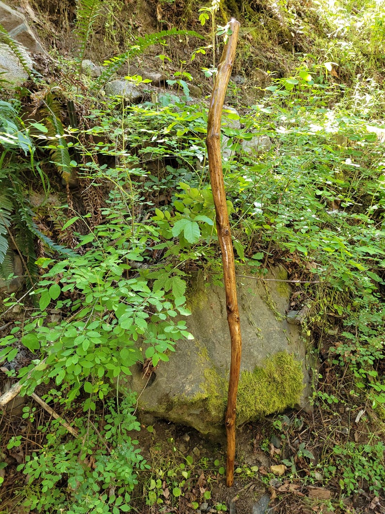 Hand Carved Wooden Staff - Etsy