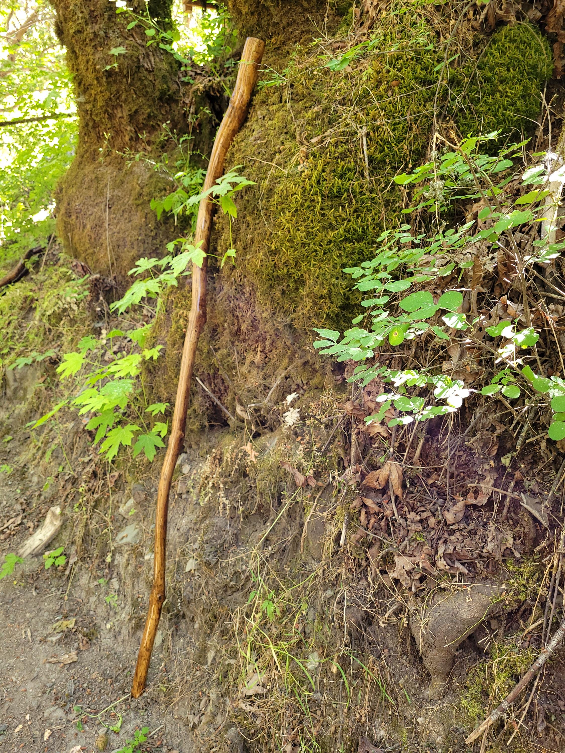 Hand Carved Wooden Staff - Etsy
