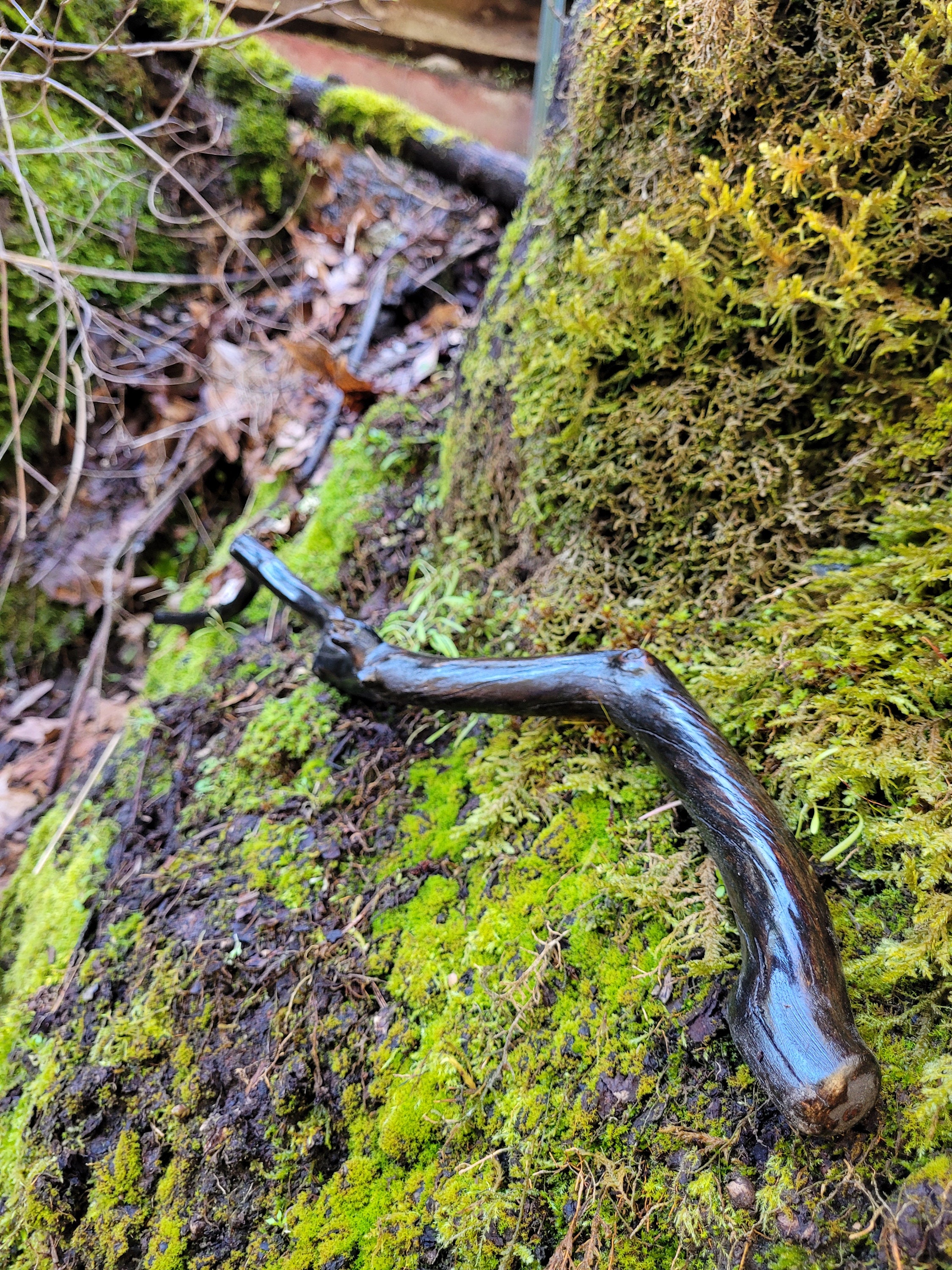 Hand Carved Wooden Wand - Etsy