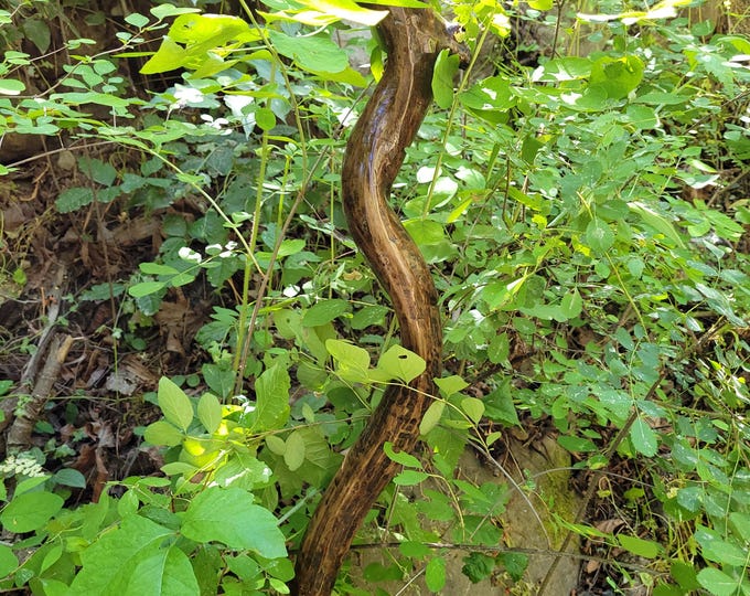Hand Carved Wooden Staff - Etsy