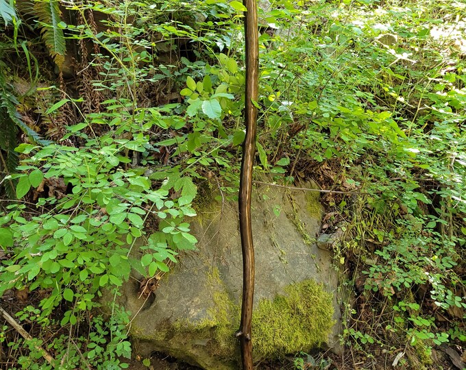 Hand Carved Wooden Staff - Etsy