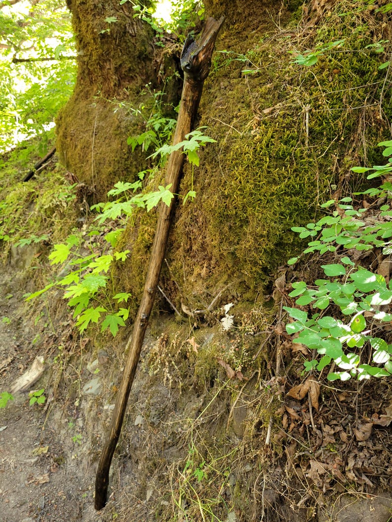 Hand Carved Wooden Staff - Etsy