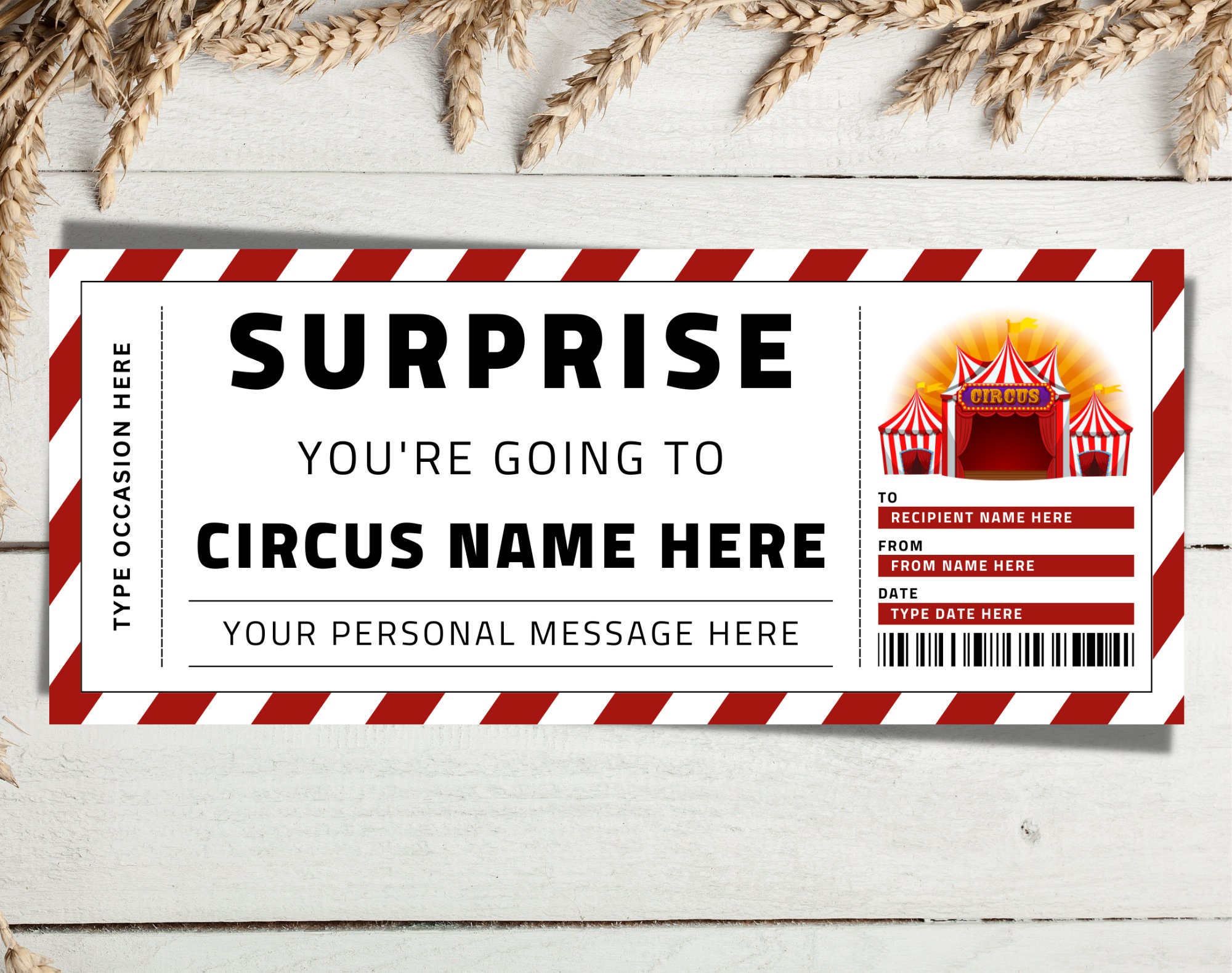 Circus Ticket Template