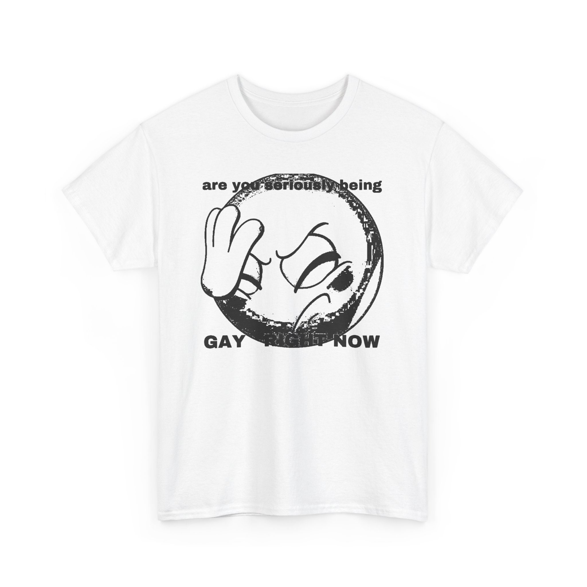 Are You Seriously Being Gay Right Now - Etsy