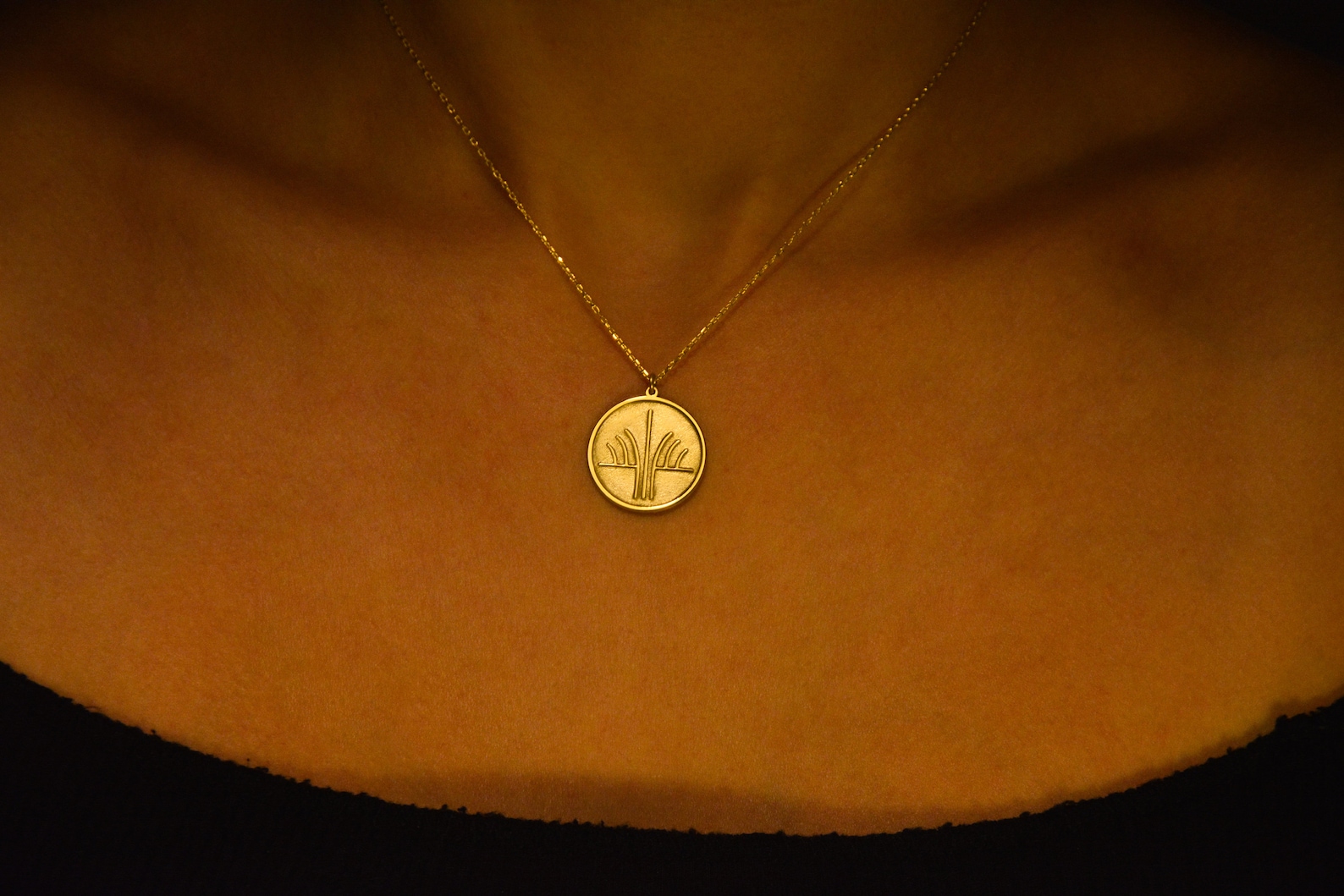 Avatar Necklace Mother's Day Gift Pandora Jewelry Avatar Clan Necklace ...