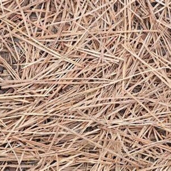 Pine Needle Weaving - Etsy