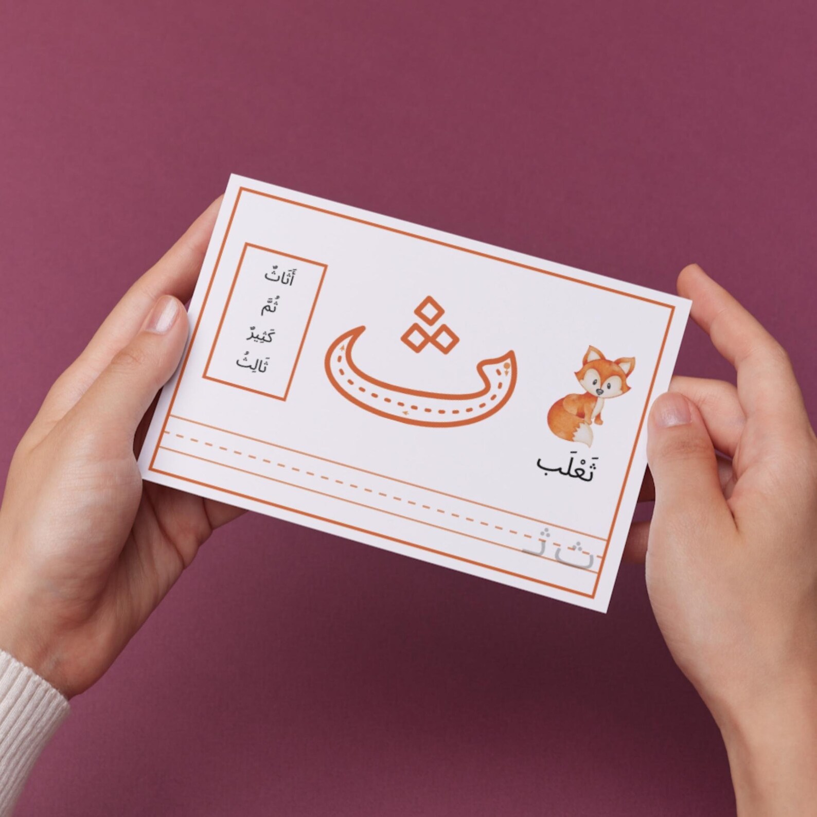 Learning Arabic, Arabic Alphabet Exercise, Arabic Letters Flashcards ...