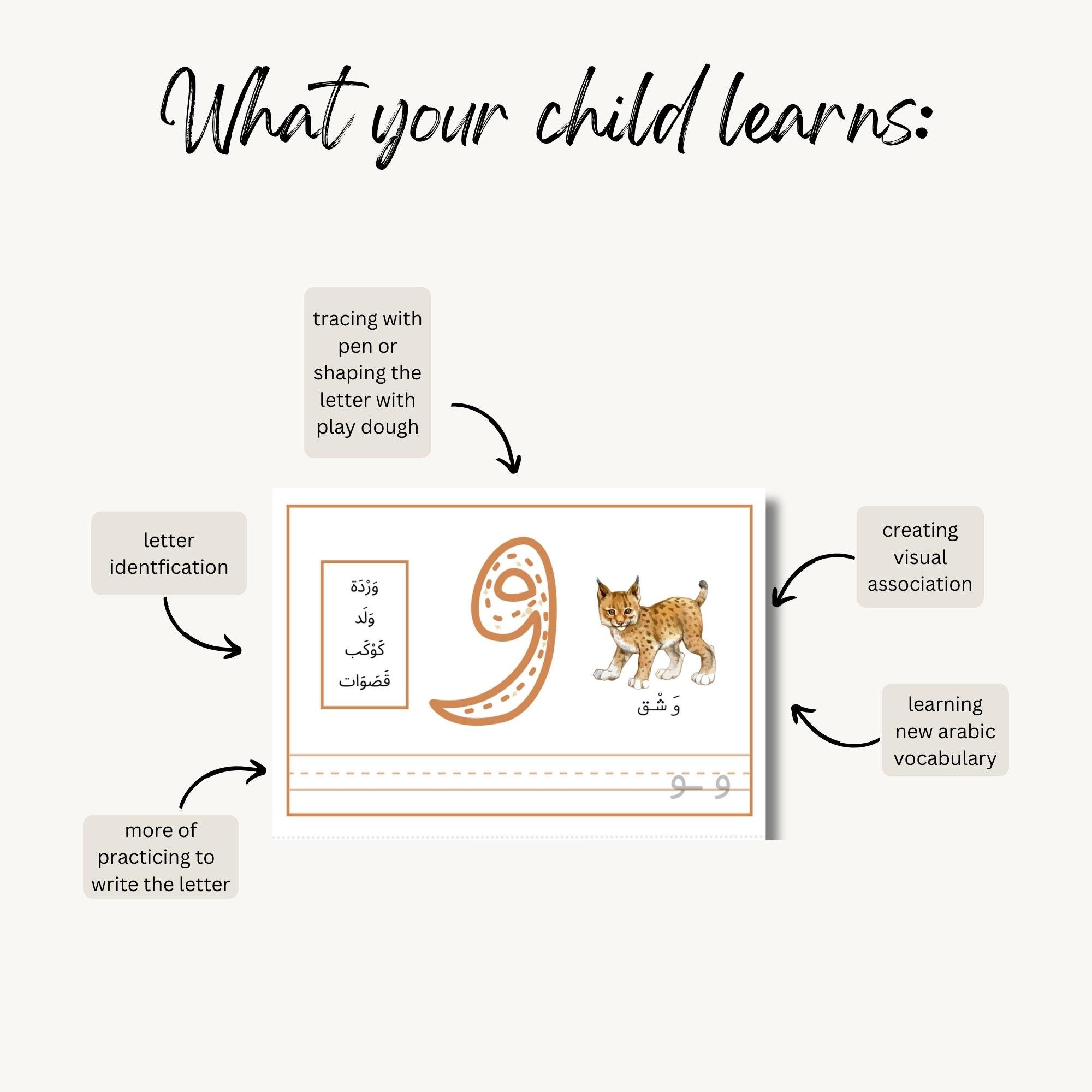 Learning Arabic, Arabic Alphabet Exercise, Arabic Letters Flashcards ...