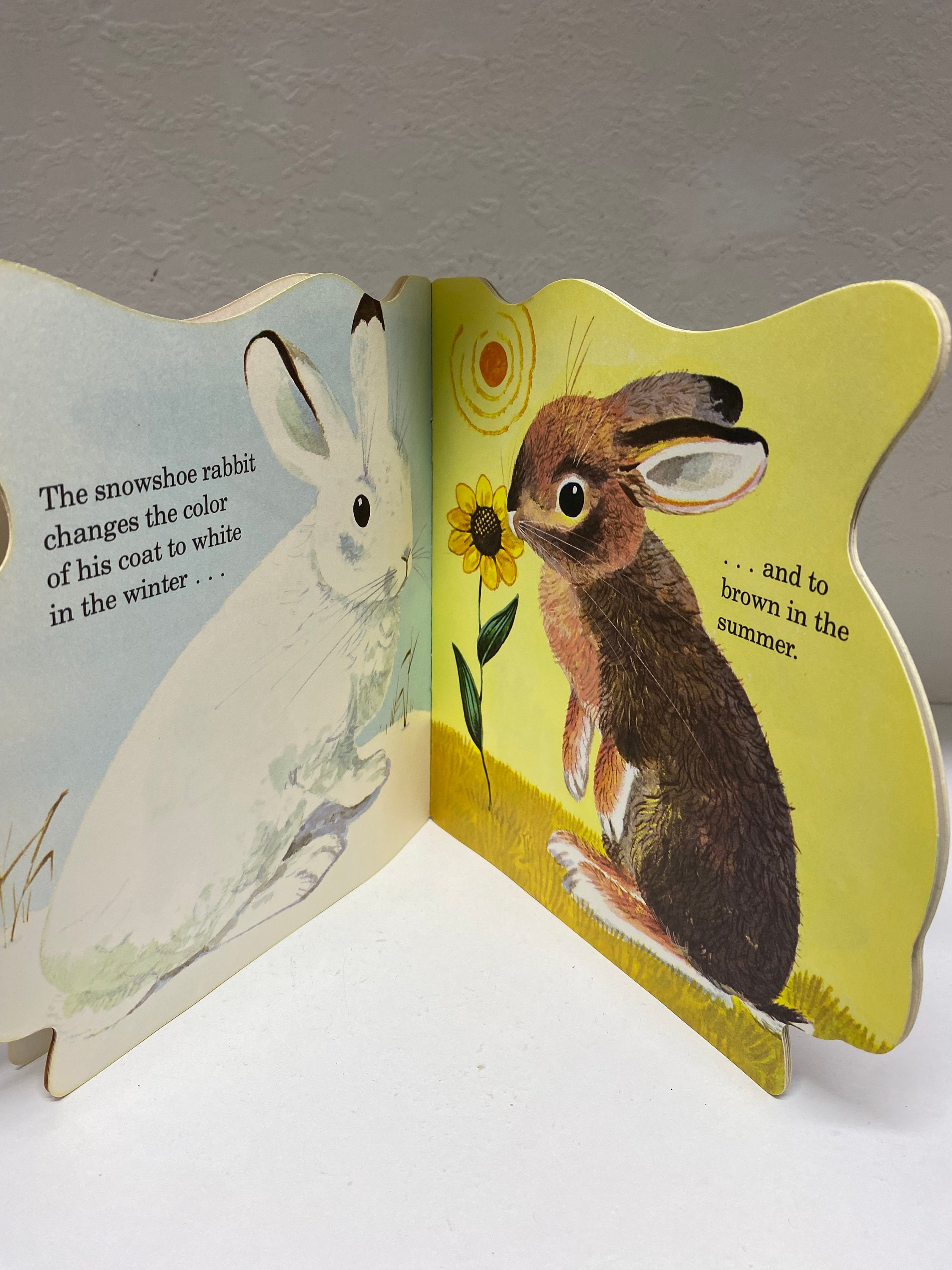 A Golden Super Shape Book - the Bunny Book - by Richard Scarry - Etsy