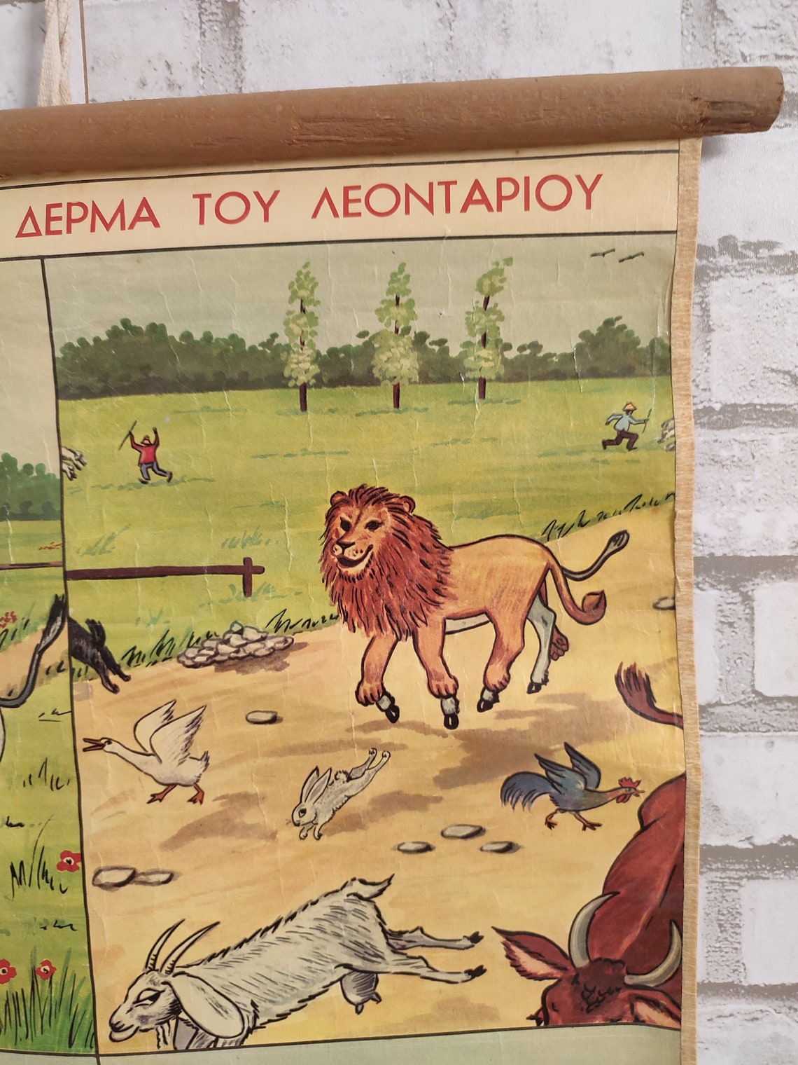 The Donkey in the Lion's Skin Aesop's Fables School - Etsy