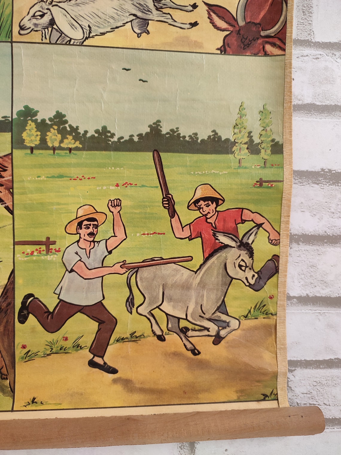 The Donkey in the Lion's Skin Aesop's Fables School - Etsy