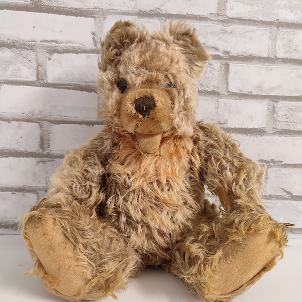 Zotty Bear - Etsy