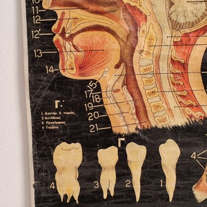 Lithography Map, NOS Map, Anatomy Map, School Map, Antique Map, Chromo ...