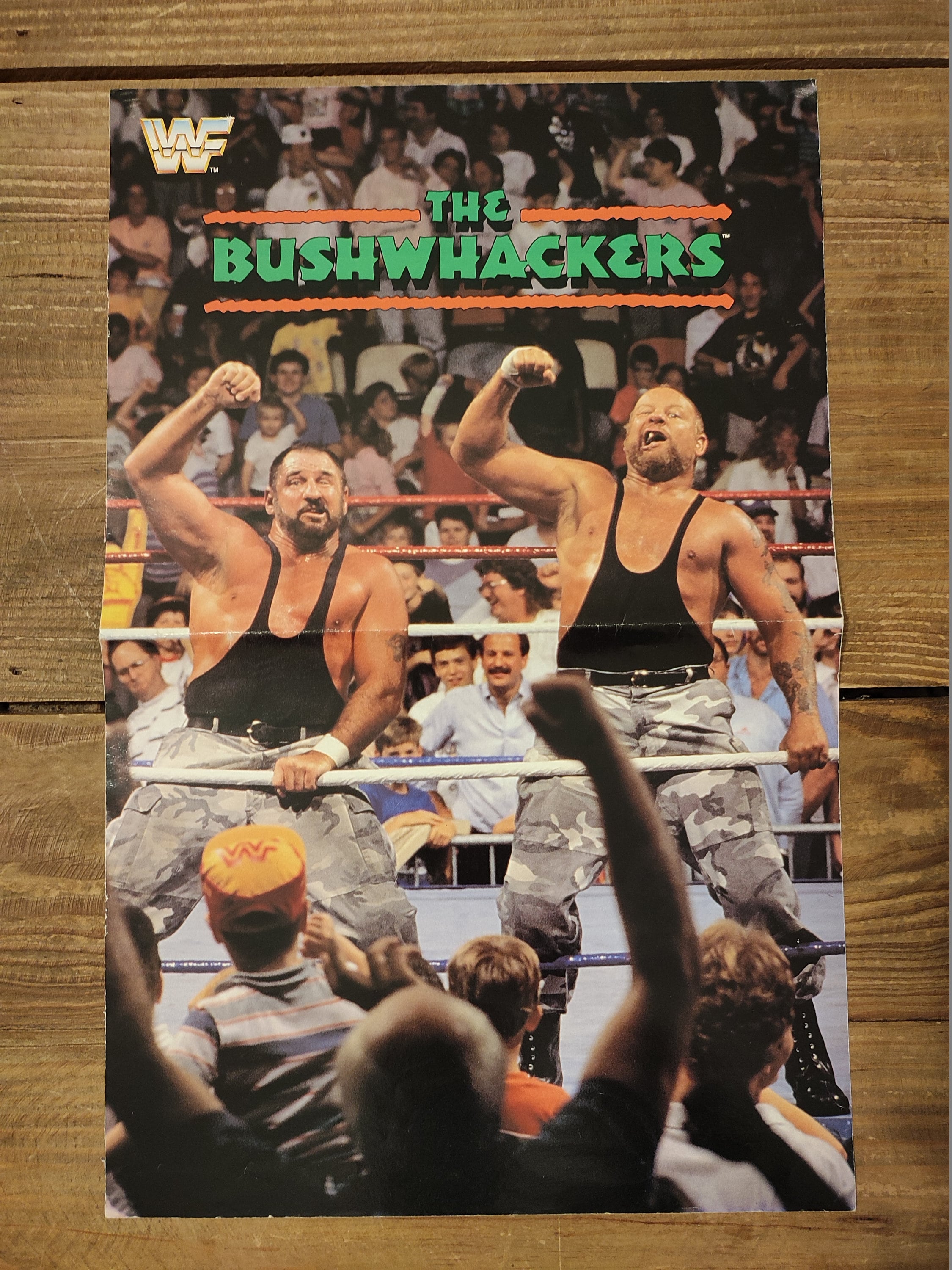 The Bushwhackers, Official World Wrestling Federation Poster - Etsy Canada